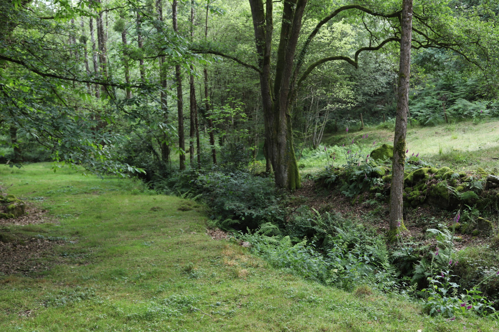 Présentation - Molac